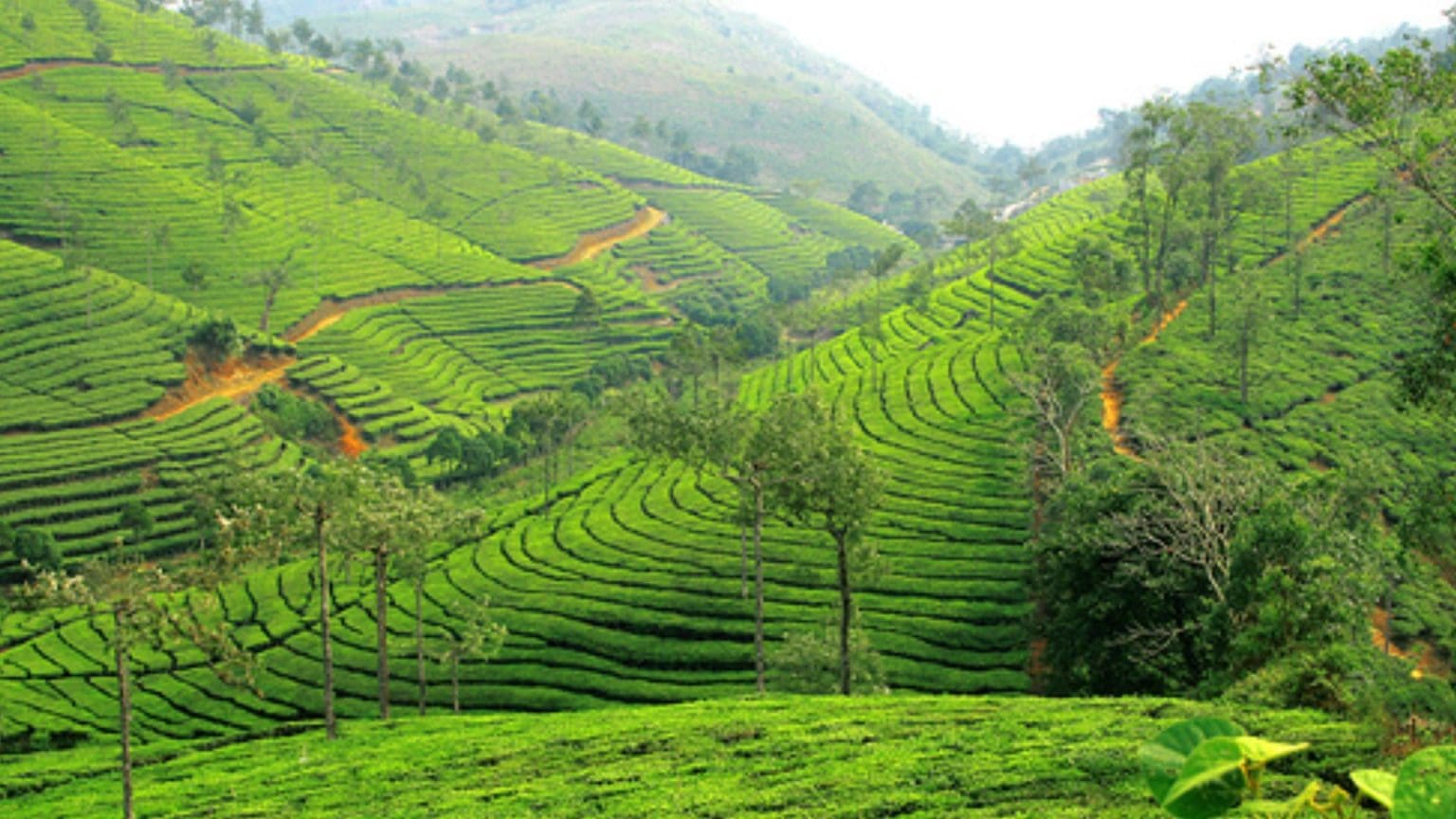 Things to do in Gavi, Kerala for a Peaceful Getaway | Munnar Insider ...