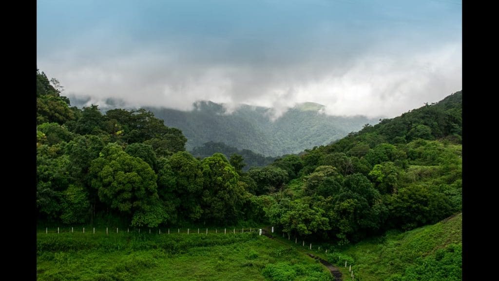 Things to do in Gavi, Kerala for a Peaceful Getaway | Munnar Insider ...