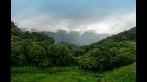 Things to do in Gavi, Kerala for a Peaceful Getaway | Munnar Insider ...