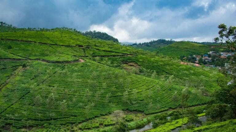 Seasons in Kerala Explained-Summer, Monsoon & Winter Guide | Munnar ...