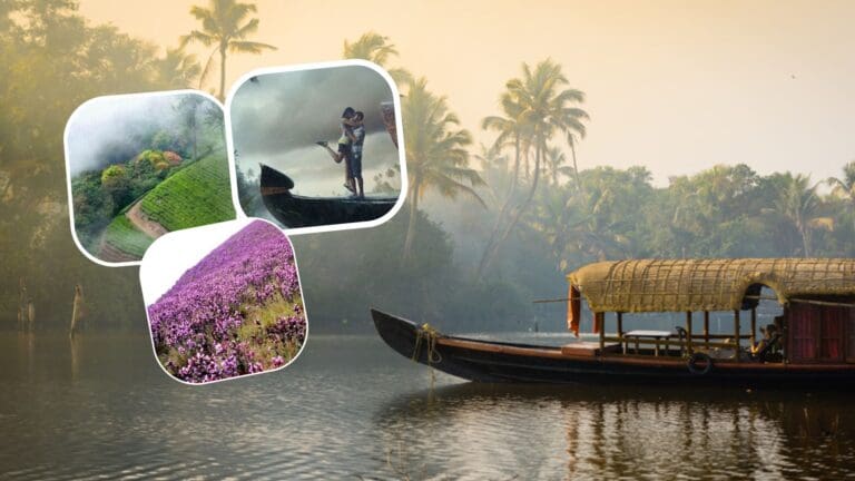Seasons in Kerala Explained-Summer, Monsoon & Winter Guide | Munnar ...