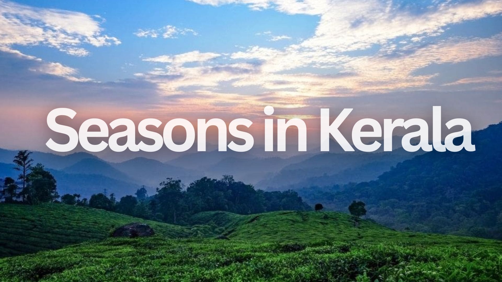 Seasons in Kerala Explained-Summer, Monsoon & Winter Guide | Munnar ...